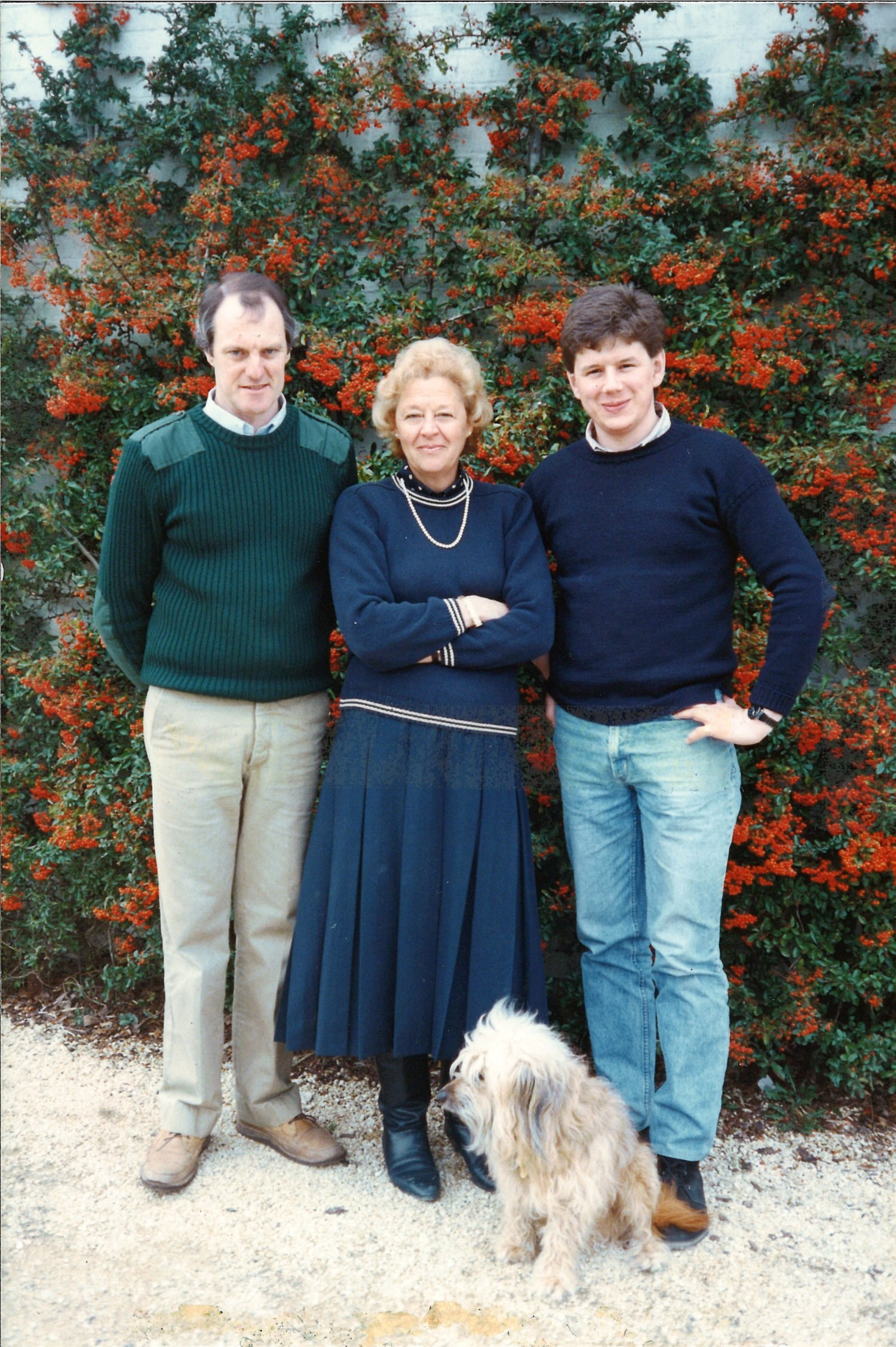 About us – Highfield Garden World