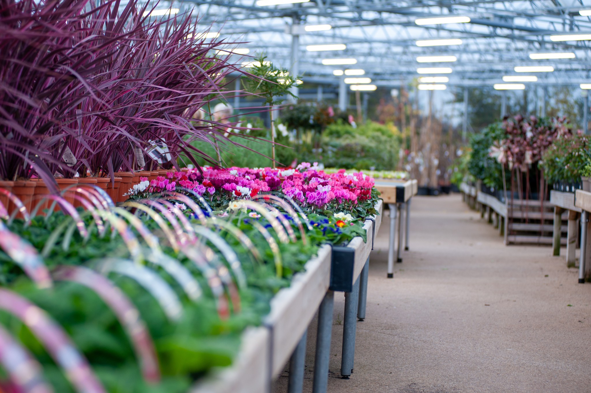 Highfield Garden World – Gloucestershire's Leading independent Garden ...